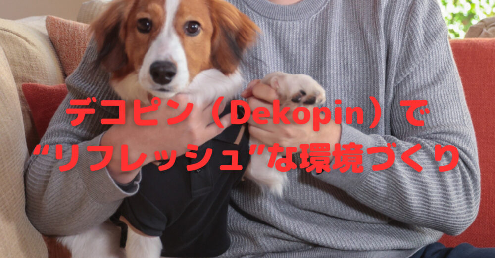 デコピン（Dekopin）で“リフレッシュ”な環境づくり - 仕事の効率を高めストレスフリーな社内環境を作る！シーオーピーコンサルティング
